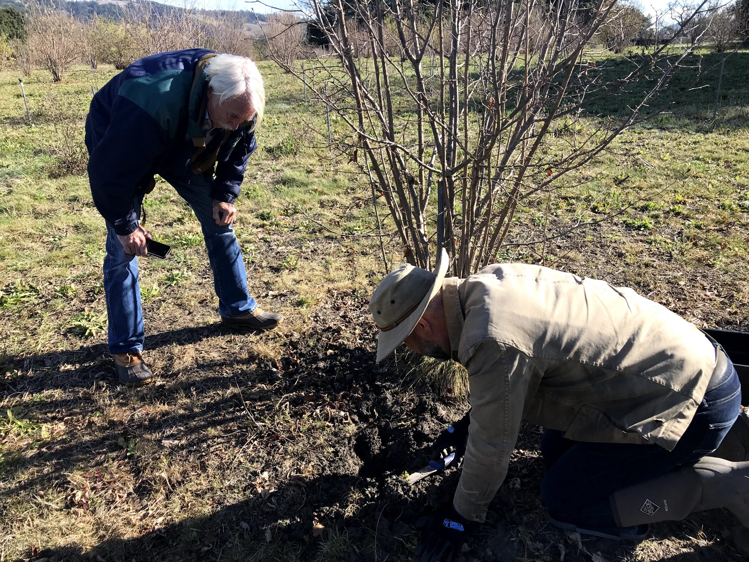 A New Industry Is Born: California Truffles | Worth