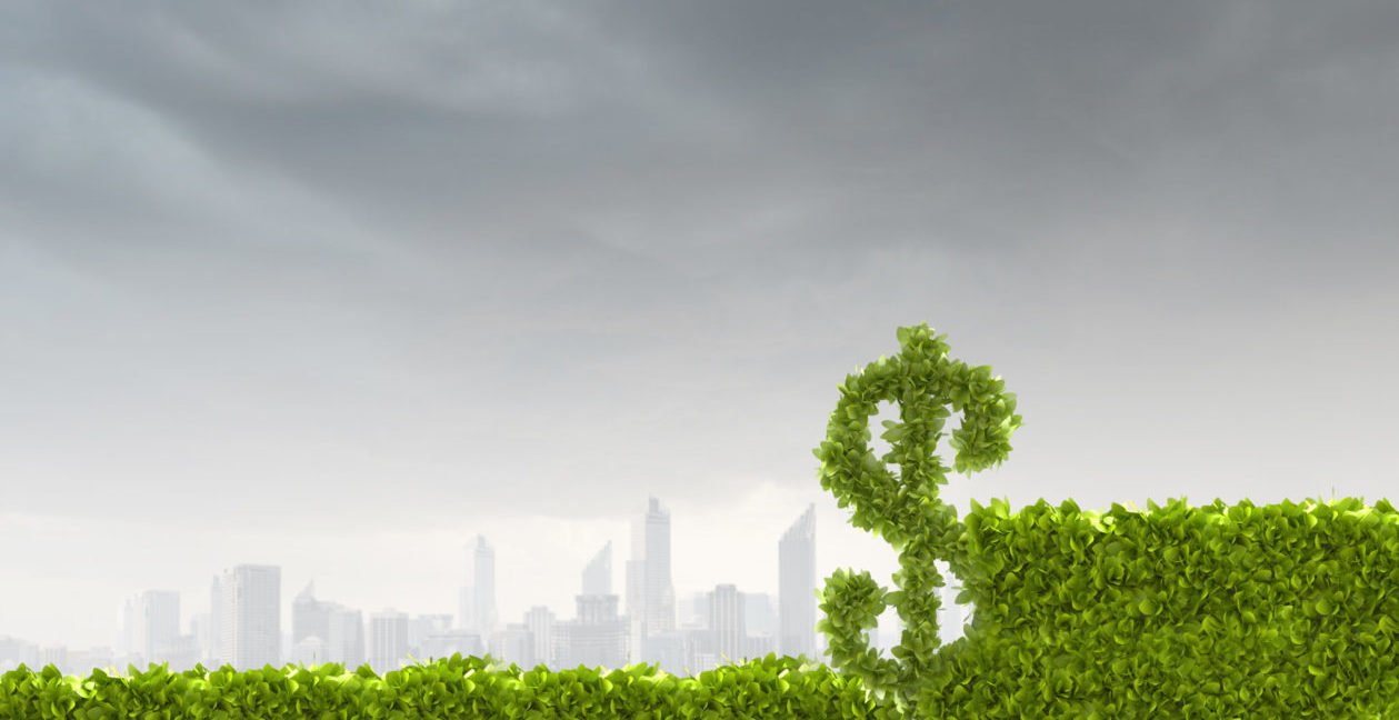 The Problem With “Green” Monetary Policy | Worth