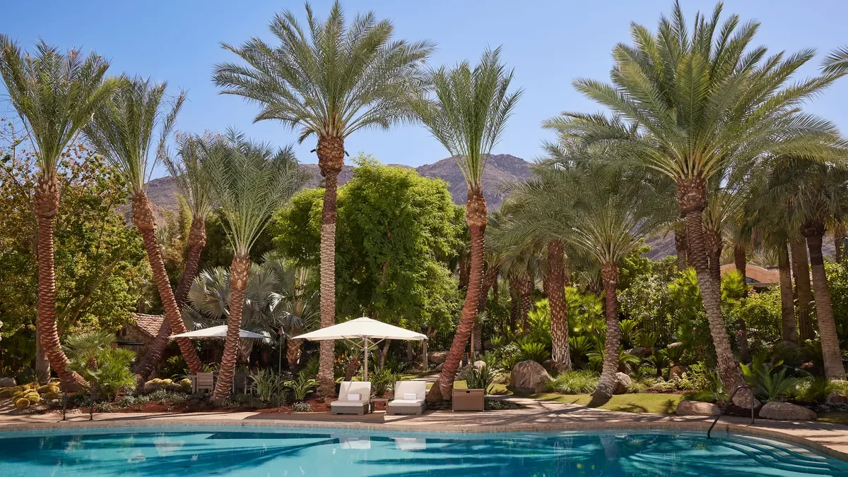 The Impact of Sensei's Unique Approach to Wellness | Worth